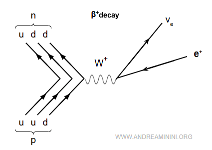 Beta decay in simple terms - Andrea Minini