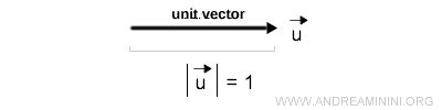 Derivative of a Unit Vector - Andrea Minini