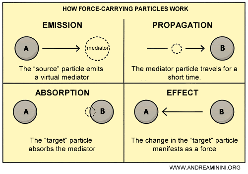 Fundamental Interactions (Forces) in Physics - Andrea Minini