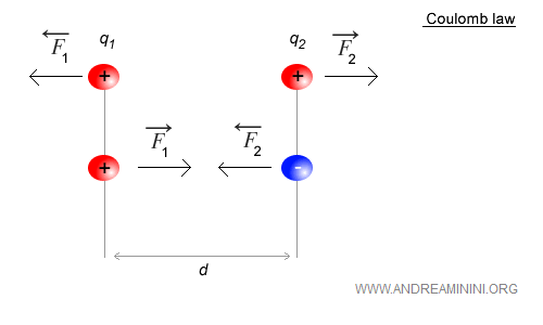 Fundamental Interactions (Forces) in Physics - Andrea Minini
