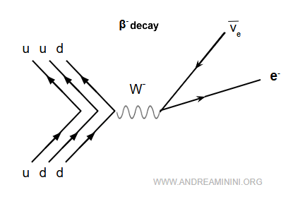 Fundamental Interactions (Forces) in Physics - Andrea Minini