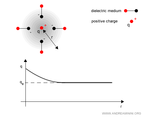 Quantum Chromodynamics - Andrea Minini