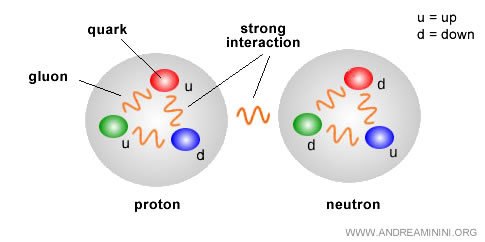 Fundamental Interactions (Forces) in Physics - Andrea Minini