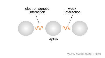 Types of Elementary Particles - Andrea Minini